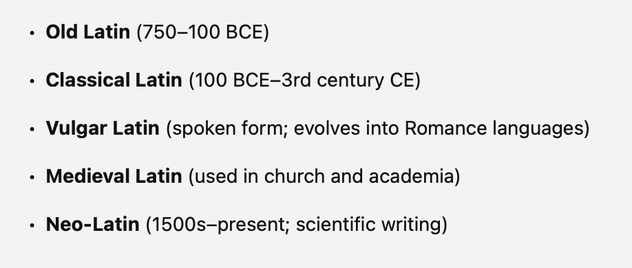 History of the Latin Language: Origins, Evolution & Modern Influence